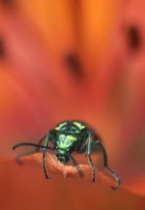 Eating Cold Food: Is It Bad For You? The Health Risks Revealed » Best ...